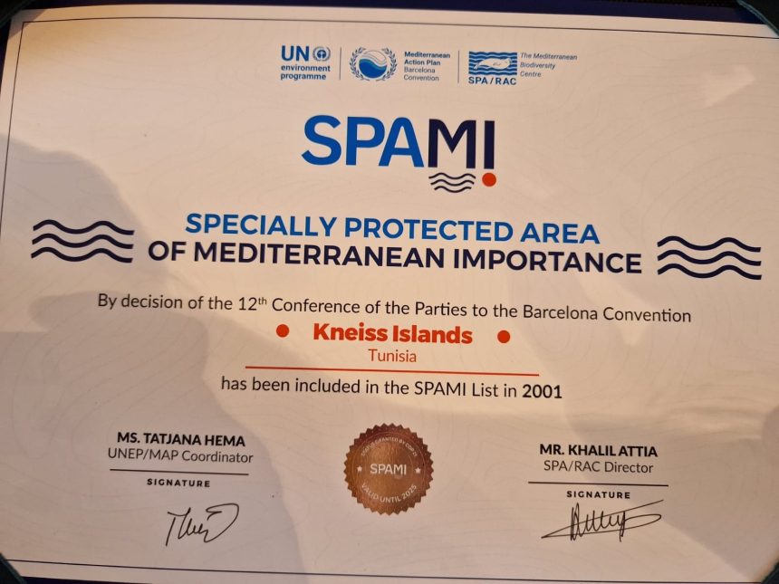 Protection de la biodiversité méditerranéenne : L'Apal célèbre la SPAMI ...