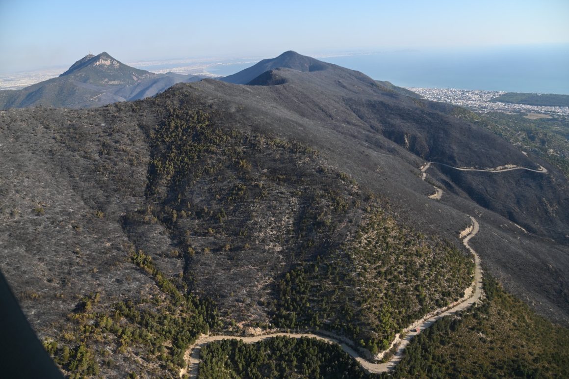 Tunisie : Les dégâts de l'incendie de Jebel Boukornine en images ...