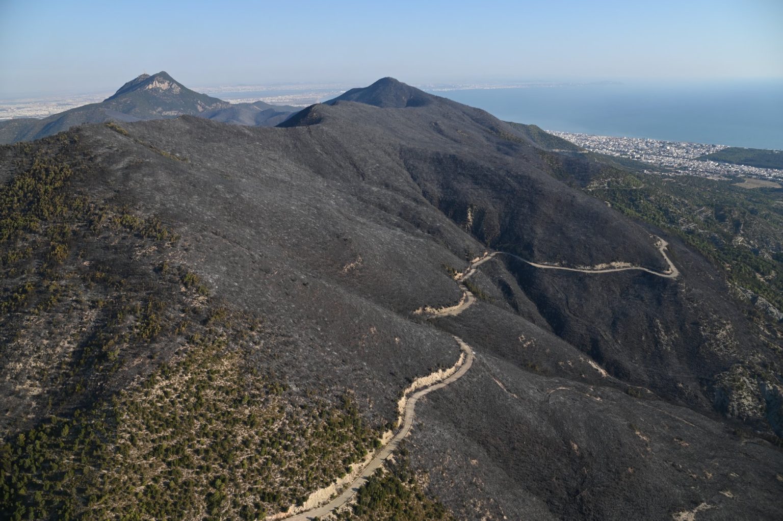 Tunisie : Les dégâts de l'incendie de Jebel Boukornine en images ...