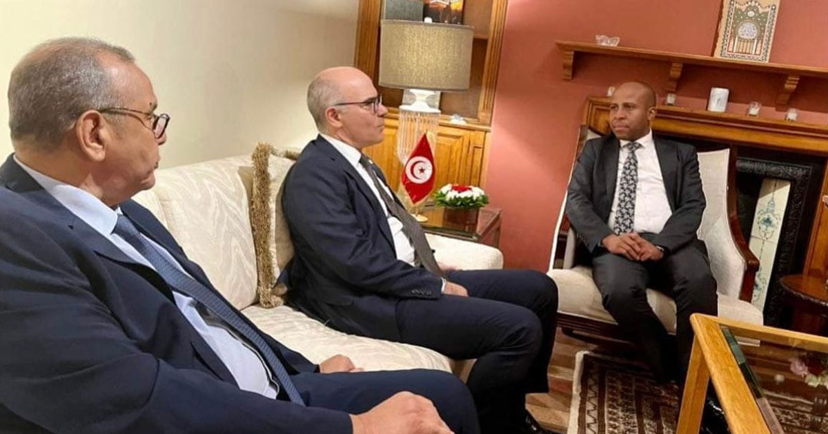 Tunisie : Nabil Ammar en Afrique du Sud - Kapitalis